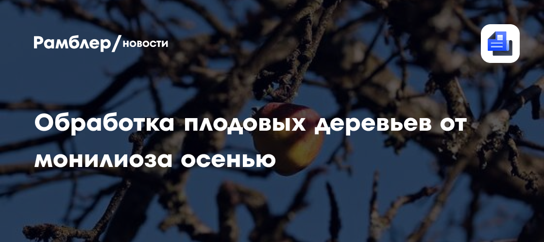Обработка плодовых деревьев от монилиоза осенью - Рамблер/новости