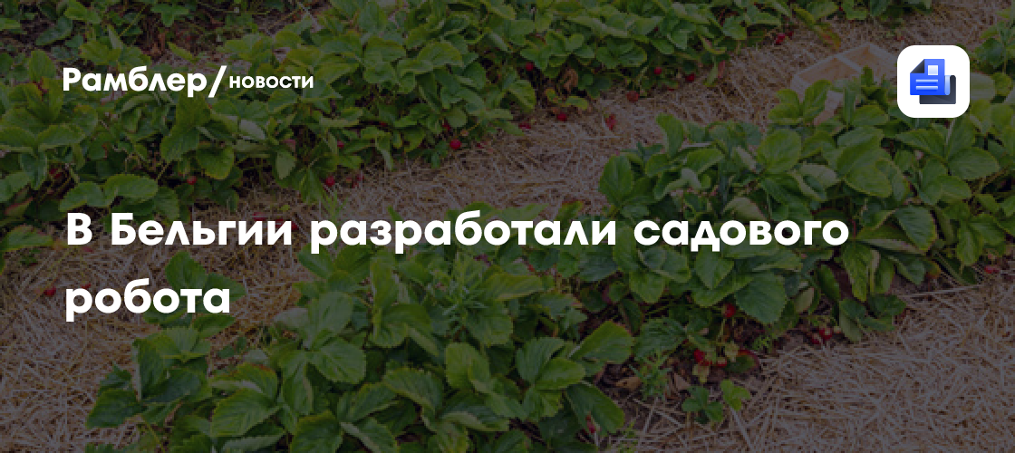 В Бельгии разработали садового робота Рамблерновости