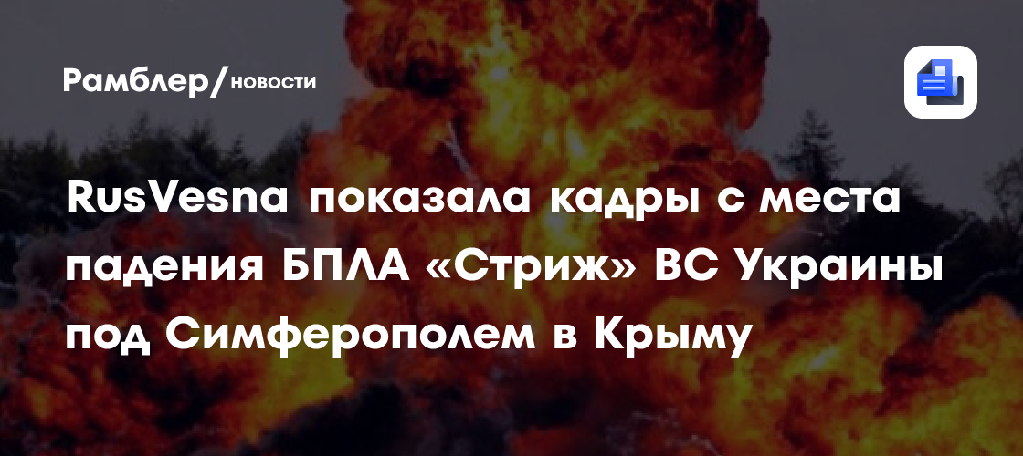 RusVesna показала кадры с места падения БПЛА «Стриж» ВС Украины под ...