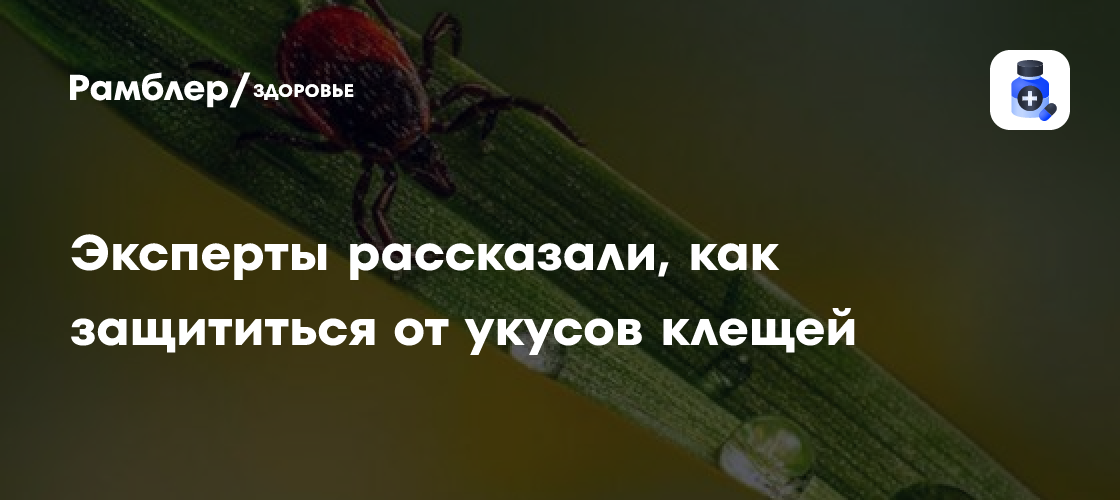 Эксперты рассказали как защититься от укусов клещей Рамблерздоровье