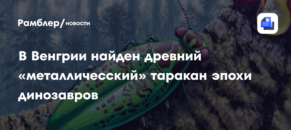 Древнего «металлического» таракана эпохи динозавров нашли в янтаре в ...
