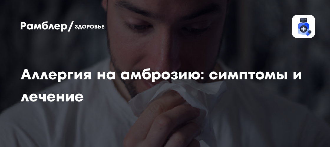 Аллергия на амброзию: симптомы и лечение - Рамблер/здоровье