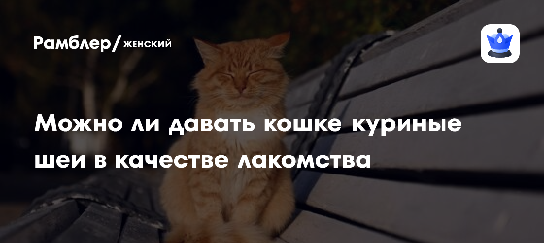 Эксперт рассказал, можно ли давать кошке куриные шеи в качестве ...