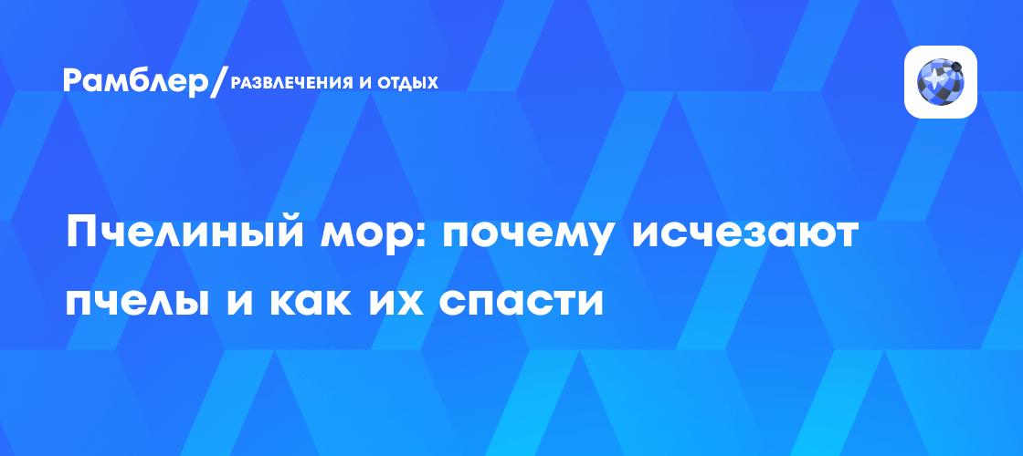 Пчелиный мор: почему исчезают пчелы и как их спасти - Рамблер ...