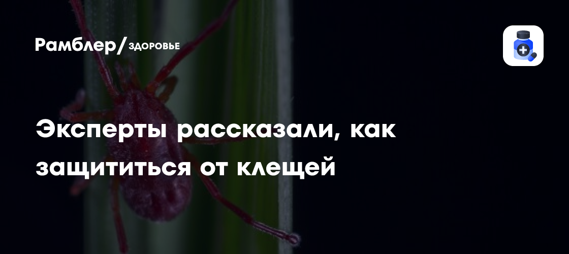 Россиянам рассказали как защититься от клещей Рамблерздоровье