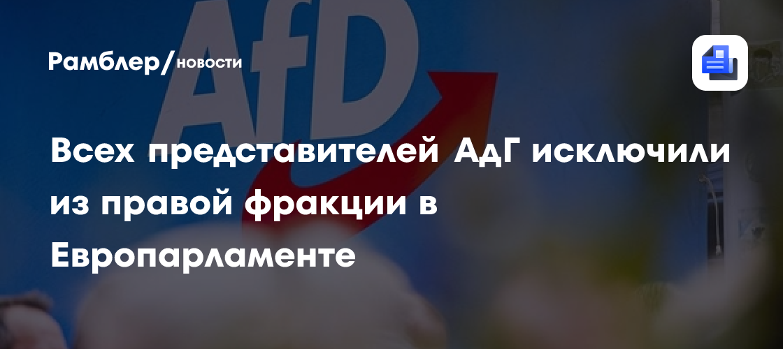 Welt всех представителей АдГ исключили из правой фракции в