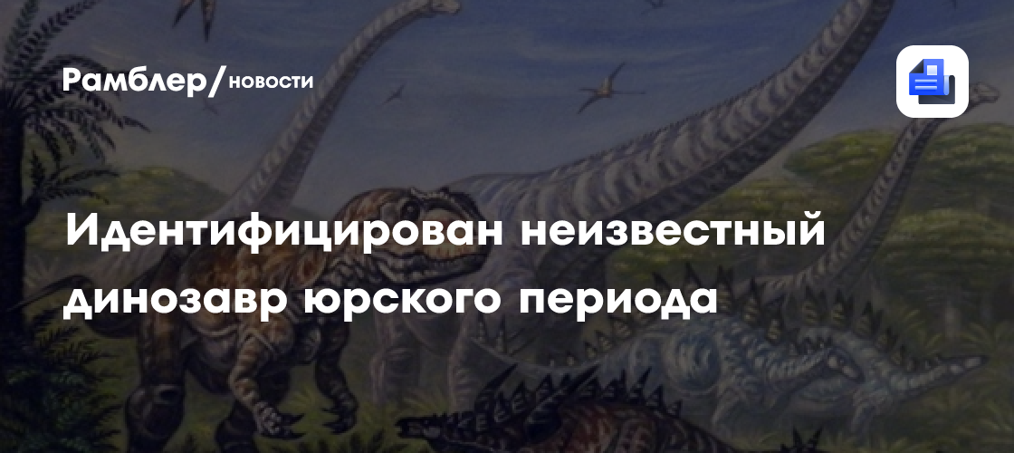 Идентифицирован неизвестный динозавр юрского периода - Рамблер/новости