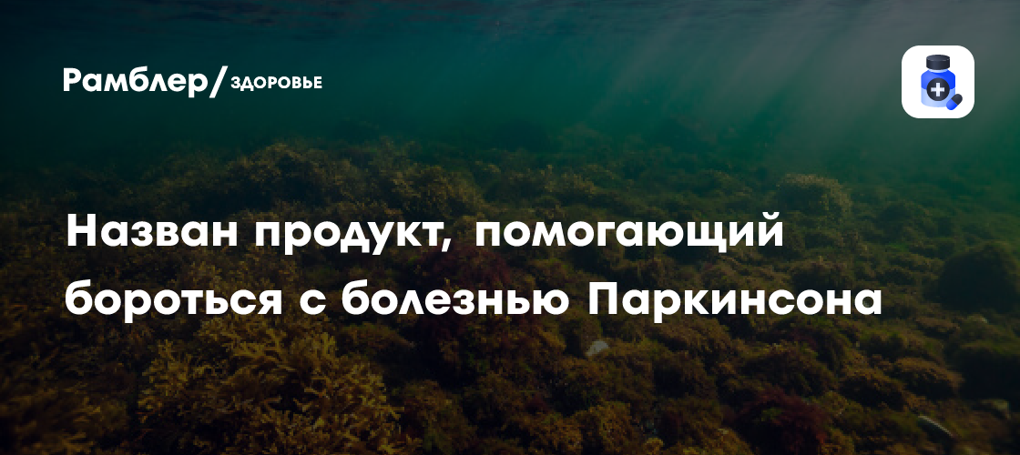 Nutrients: полифенолы в бурых водорослях могут бороться с болезнью ...