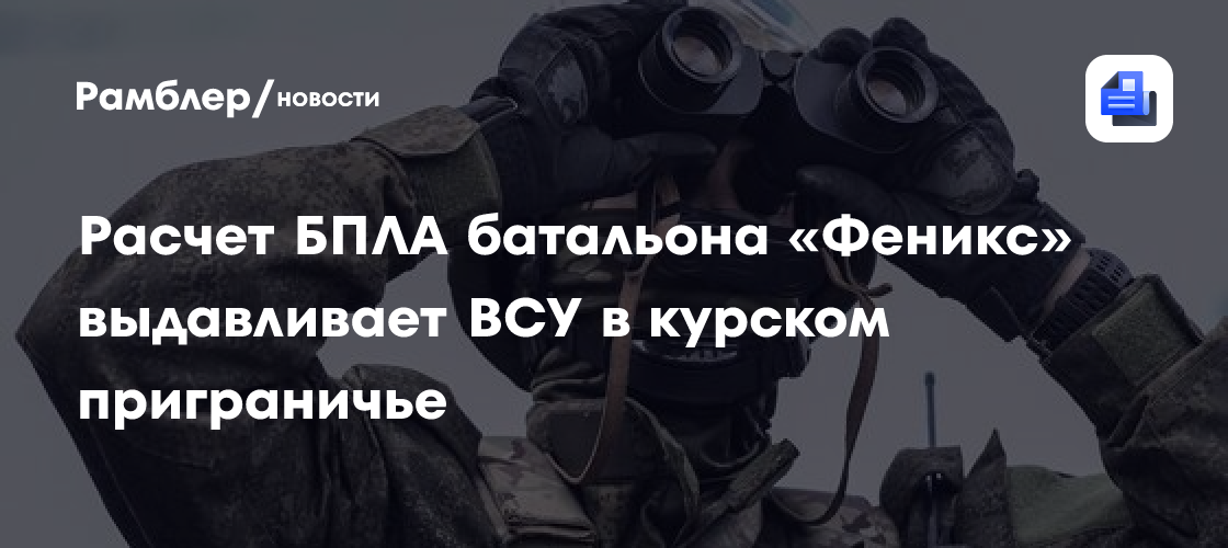 Расчёт БПЛА батальона Феникс выдавливает ВСУ в курском приграничье