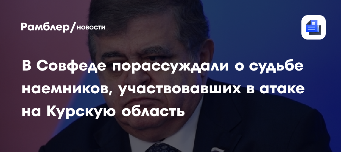 В Совфеде порассуждали о судьбе наемников участвовавших в атаке на