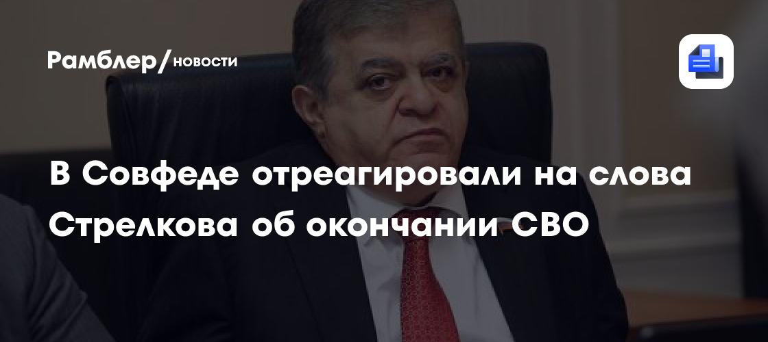 В Совфеде отреагировали на слова Стрелкова об окончании СВО Рамблер