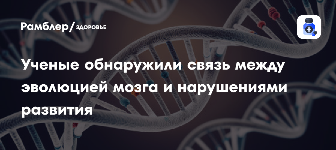 Ученые обнаружили связь между эволюцией мозга и нарушениями развития