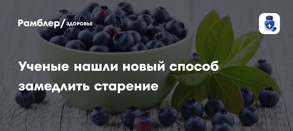 Растительные полифенолы в продуктах оказались способны замедлить ...