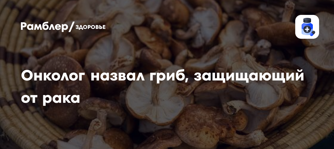 Россиянам назвали защищающий от рака гриб Рамблерздоровье
