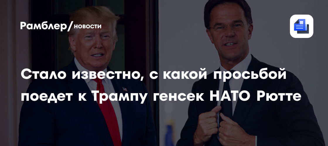 Рютте решил призвать Трампа не уступать России в переговорах по Украине