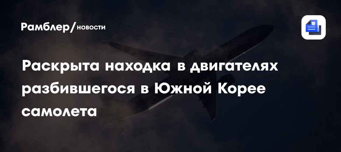 MBN: в двигателях разбившегося в Южной Корее самолета Jeju Air нашли перья - Рамблер/новости