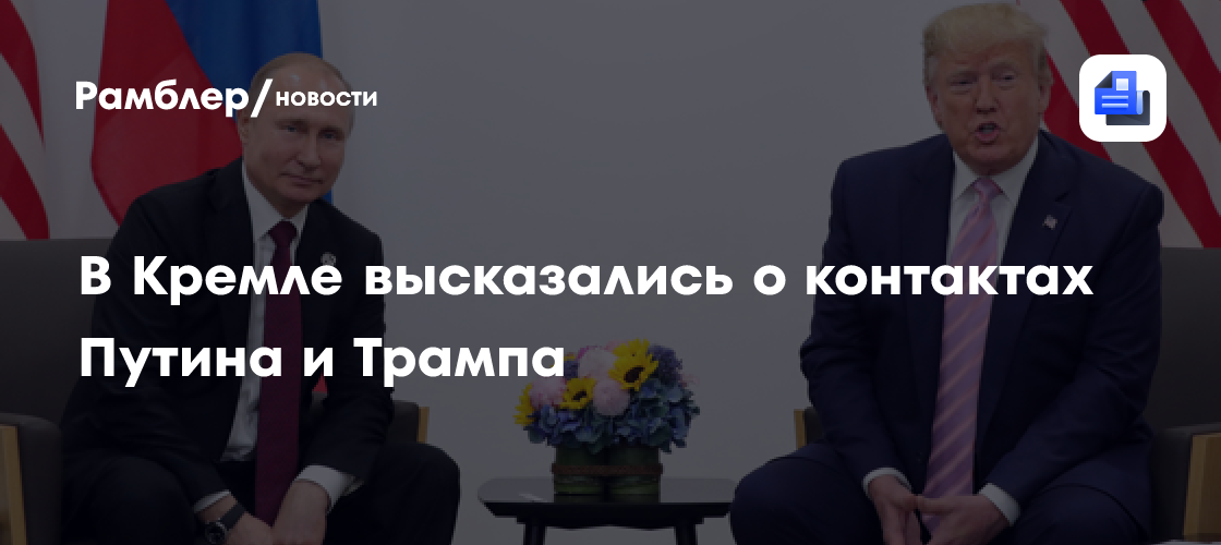 В Кремле высказались о контактах Путина и Трампа Рамблерновости