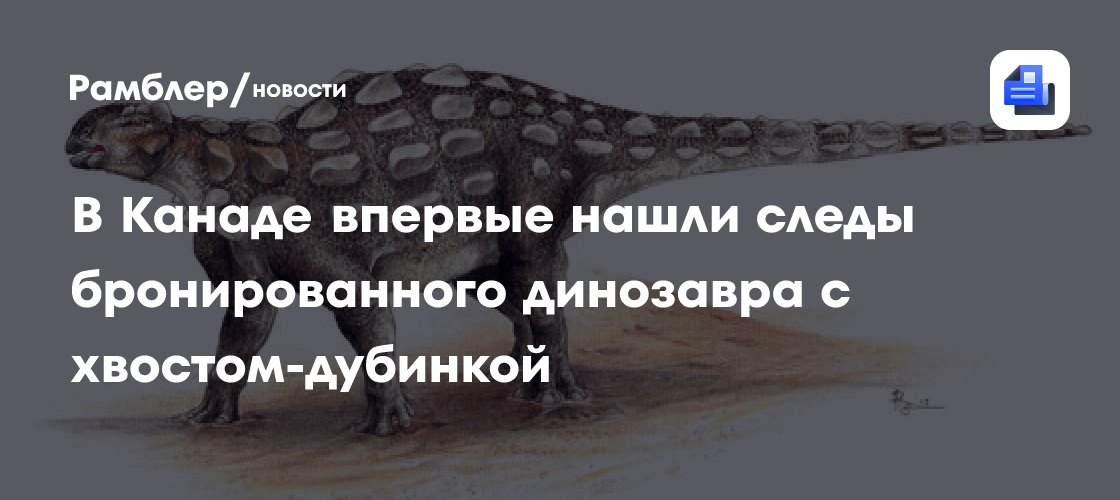 В Канаде впервые нашли следы бронированного динозавра с хвостом ...