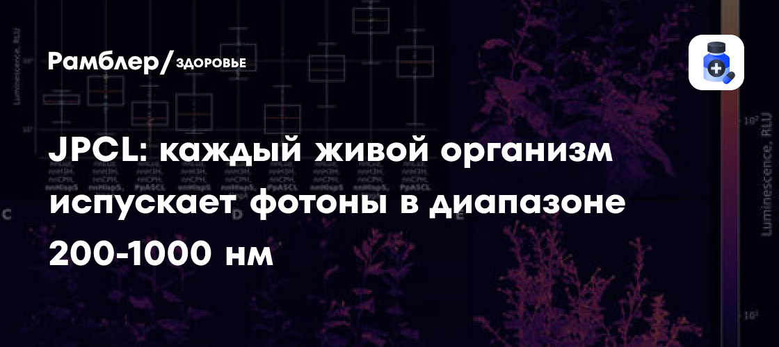 JPCL: каждый живой организм испускает фотоны в диапазоне 200-1000 нм ...