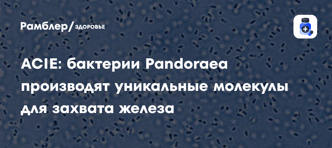 ACIE: бактерии Pandoraea производят уникальные молекулы для захвата ...