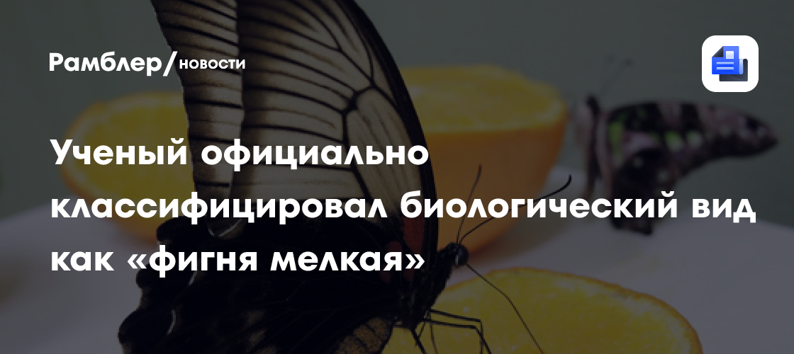 Ученый официально классифицировал биологический вид как "фигня мелкая ...