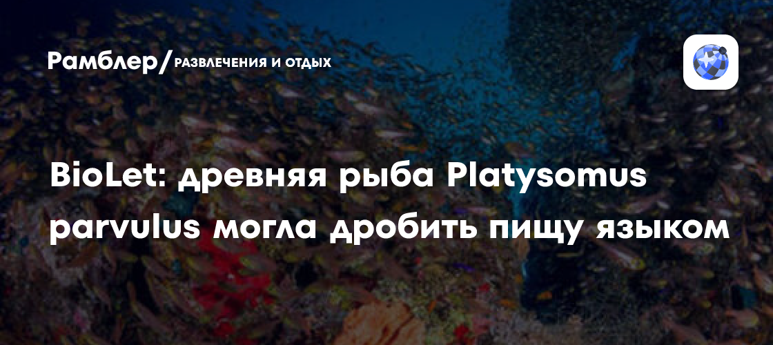 BioLet: древня рыба Platysomus parvulus могла дробить пищу языком ...
