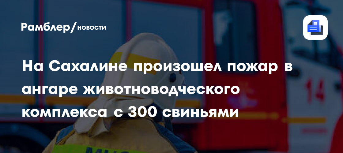 На Сахалине произошел пожар в ангаре животноводческого комплекса с 300 ...