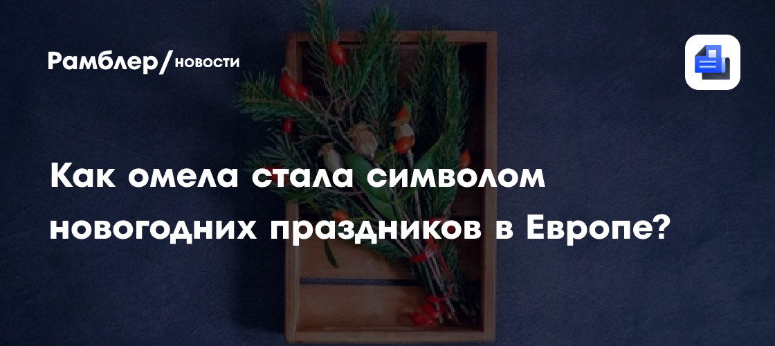 Как омела стала символом новогодних праздников? - Рамблер/новости