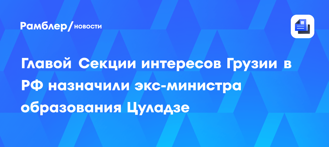 Главой Секции интересов Грузии в РФ назначили экс-министра образования ...