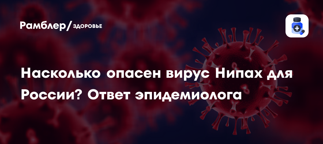 Насколько опасен вирус Нипах для России? Ответ эпидемиолога - Рамблер ...