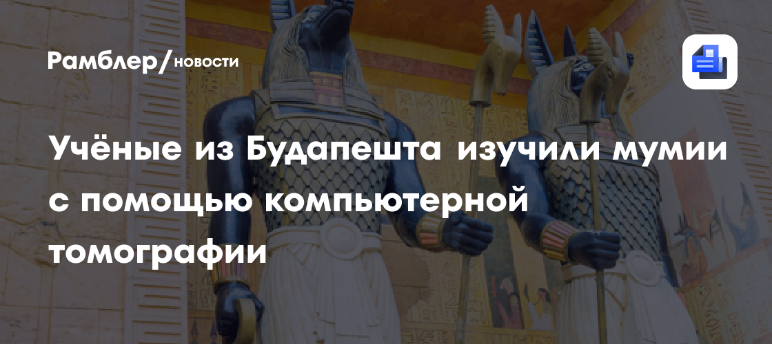 Учёные из Будапешта изучили мумии с помощью компьютерной томографии ...