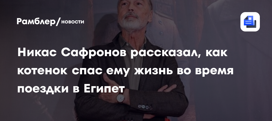 Никас Сафронов рассказал, как котенок спас ему жизнь во время поездки в ...