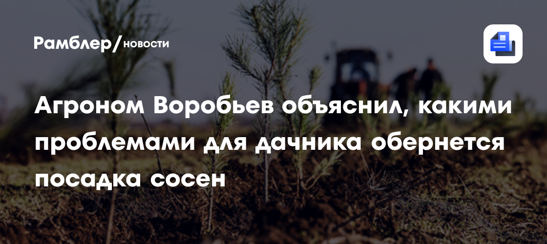 Агроном Воробьев объяснил, какими проблемами для дачника обернется ...