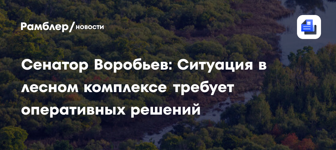 Сенатор Воробьев: Ситуация в лесном комплексе требует оперативных ...