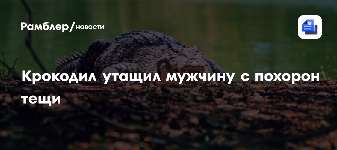 Крокодил утащил мужчину с похорон тещи - Рамблер/новости