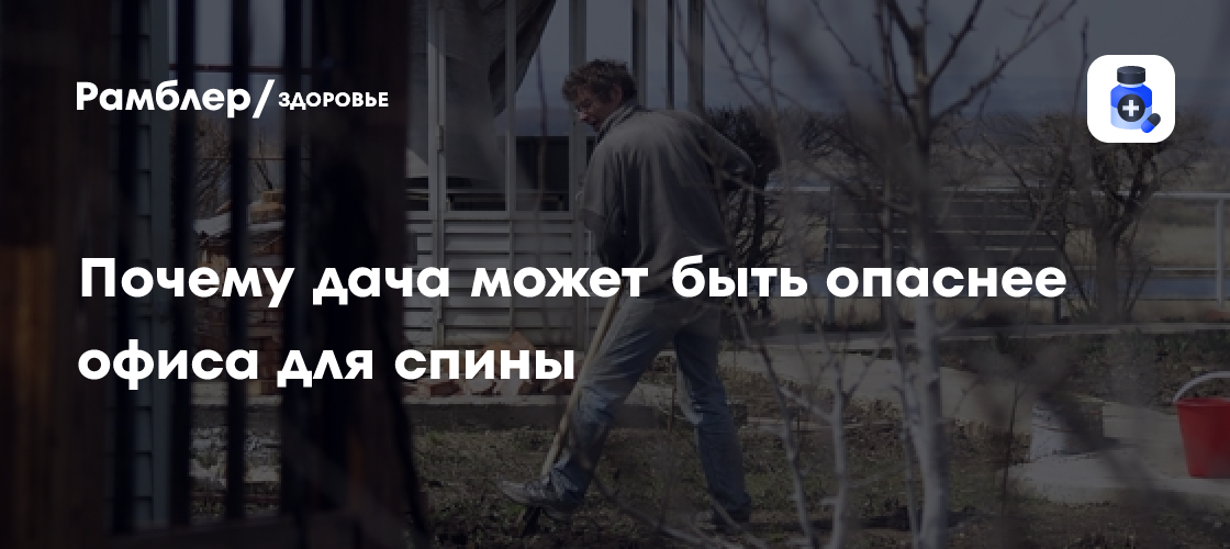 Остеопат Симкин: дачные работы гораздо опаснее для спины, чем офис ...