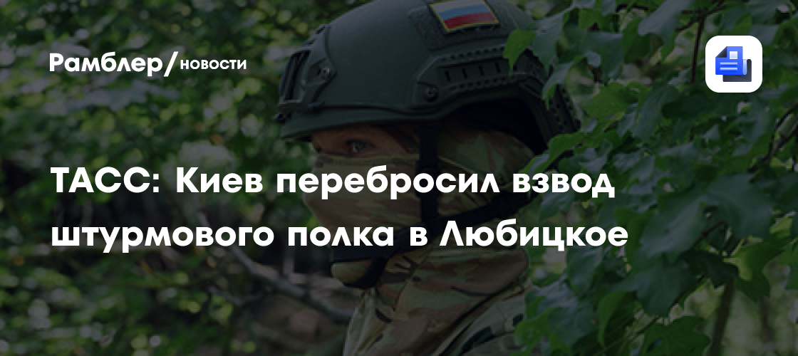 ТАСС: Киев перебросил взвод штурмового полка в Любицкое - Рамблер/новости