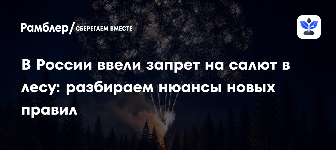 Пиротехника в лесах под запретом: правительство утвердило новые правила ...