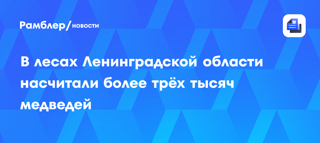 В лесах Ленинградской области насчитали более трёх тысяч медведей ...