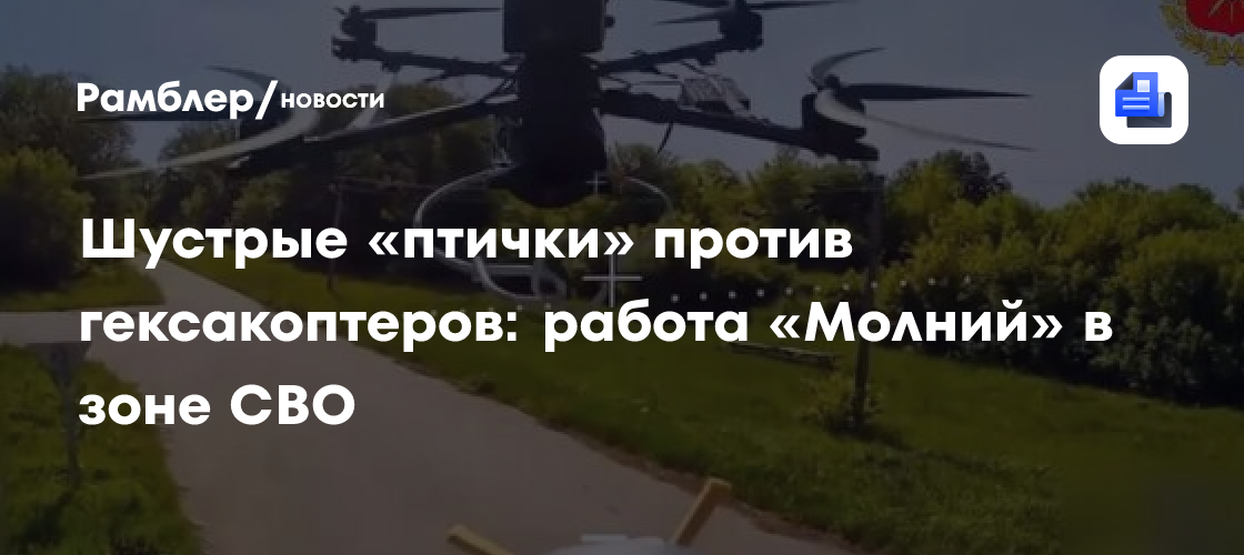 Шустрые «птички» против гексакоптеров: работа «Молний» в зоне СВО ...