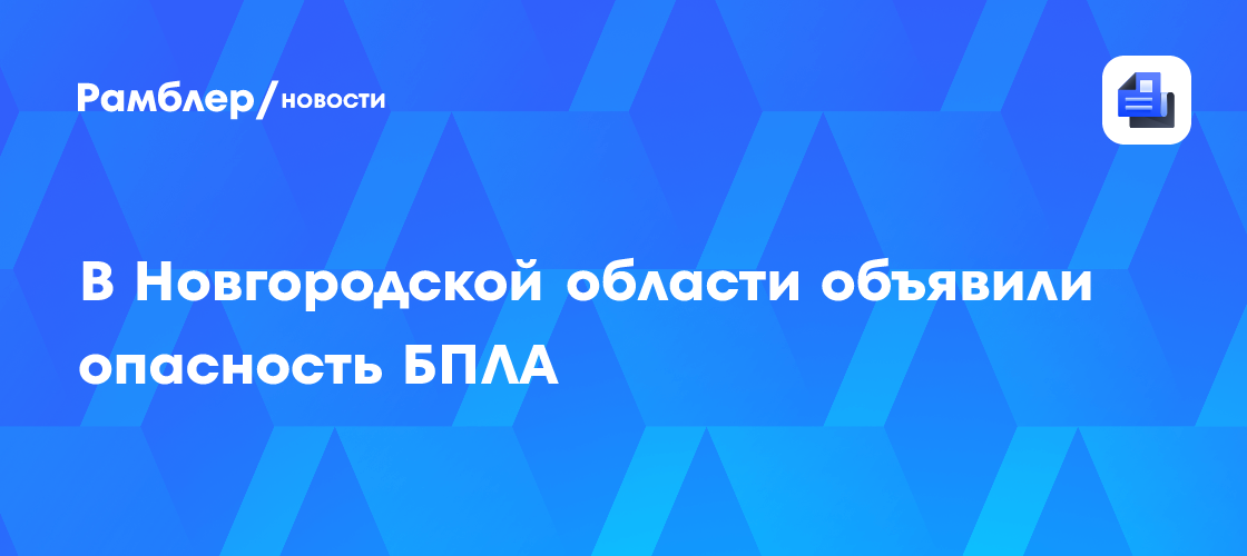 В Новгородской области объявили опасность БПЛА - Рамблер/новости