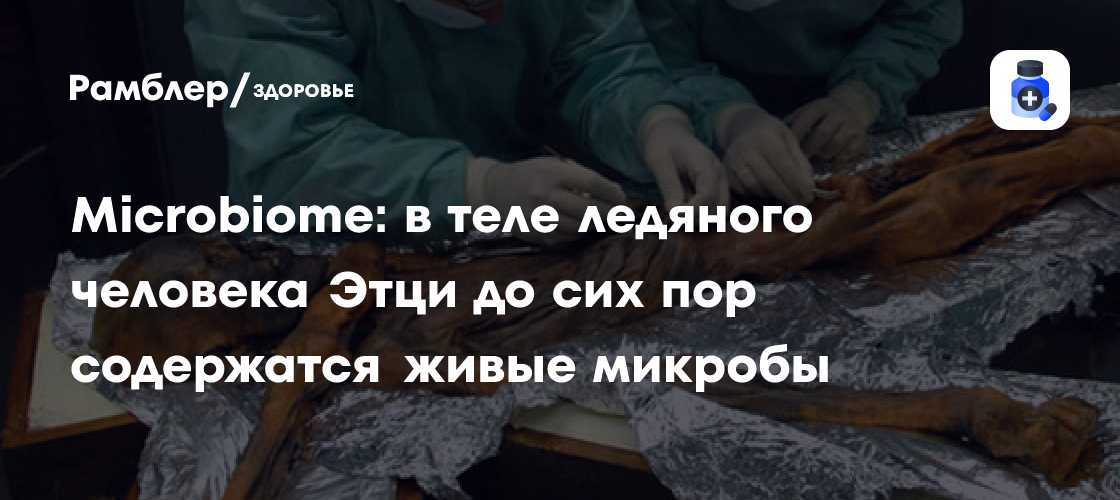 В останках Этци обнаружены жизнеспособные микробы - Рамблер/здоровье