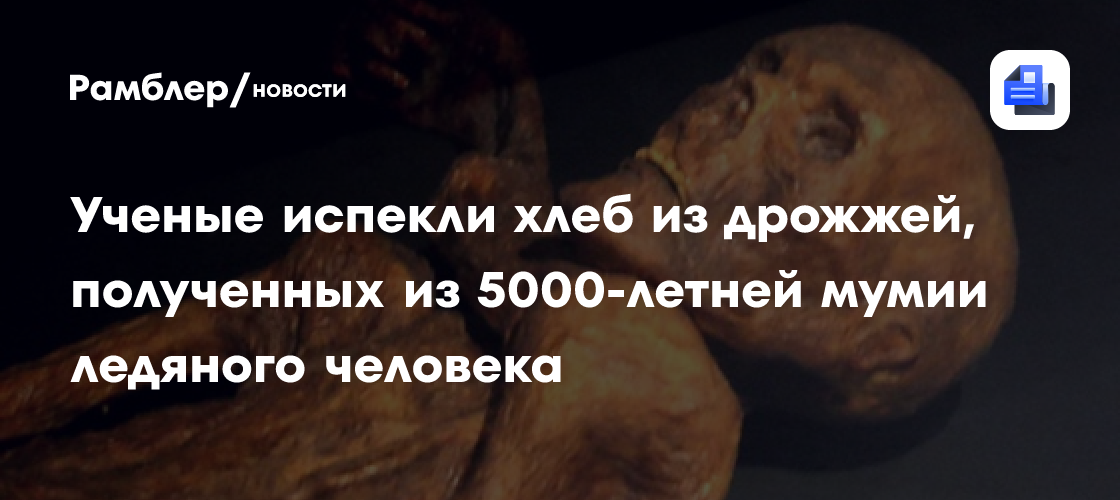 Из 5000-летней мумии ледяного человека испекли хлеб - Рамблер/новости