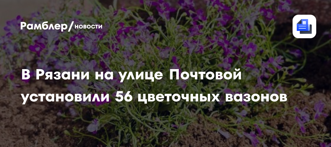 В Рязани на улице Почтовой установили 56 цветочных вазонов - Рамблер ...