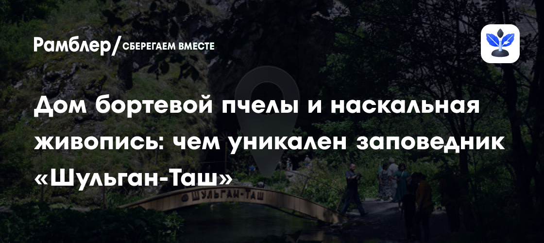 Что это за место: заповедник «Шульган-Таш» — родина бортевой пчелы и ...
